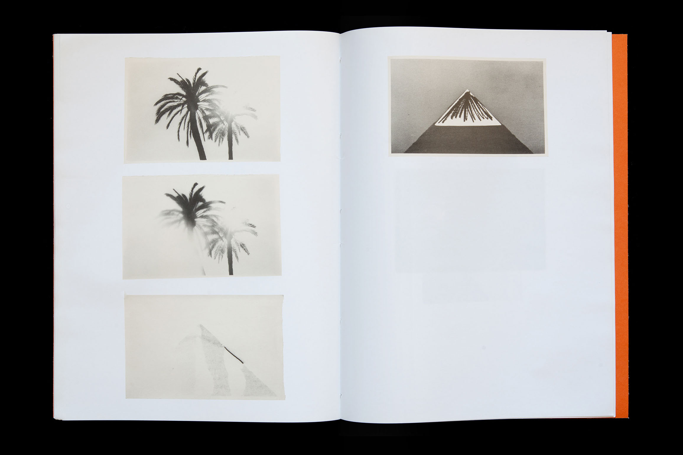 Silence Editions - The Pyramids and Palm Trees test